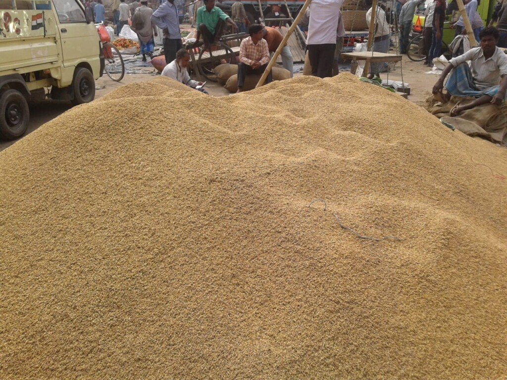 Illicit Paddy Trade Thrives In Kharupetia - The Hills Times